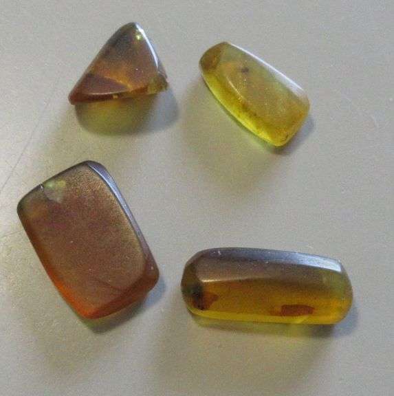 4 PIECES OF BURMIT AMBER 100 MILLION YEARS OLD INSECTS ENCASED - Star ...