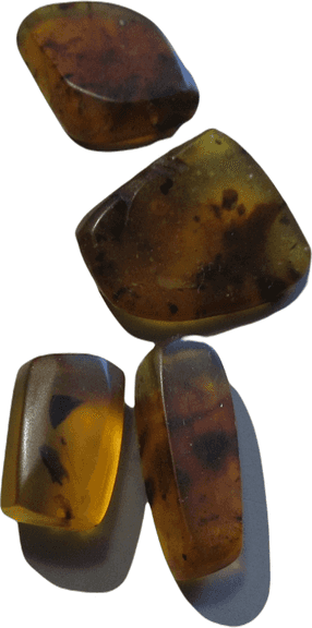 Encased insects in Amber Burmite 100 million years old - Star Coin and ...