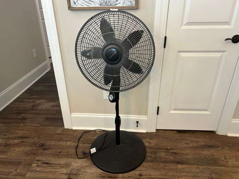 Lasko Floor Fan 47” Tall (Located in Living Room) - Red Belly Rooster ...