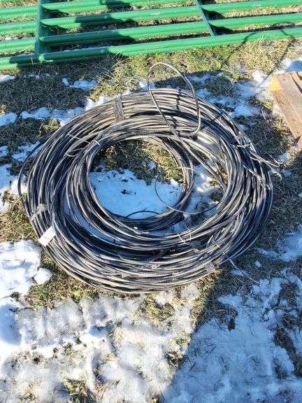 Large Roll of Triplex - Schmid Auction