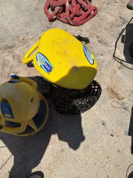 Tyger Ray Swimmer - Schmid Auction