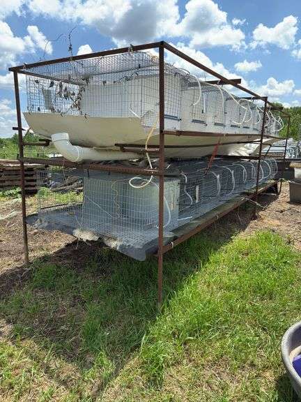 40 Hole Rabbit Cage - Schmid Auction