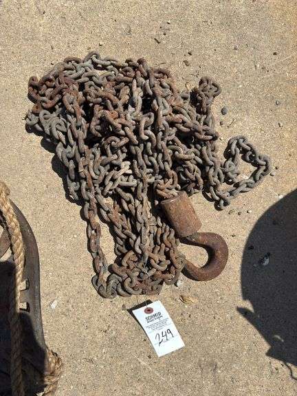 Small Chain - Schmid Auction