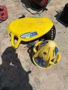 Tyger Ray Swimmer - Schmid Auction