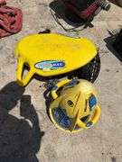 Tyger Ray Swimmer - Schmid Auction