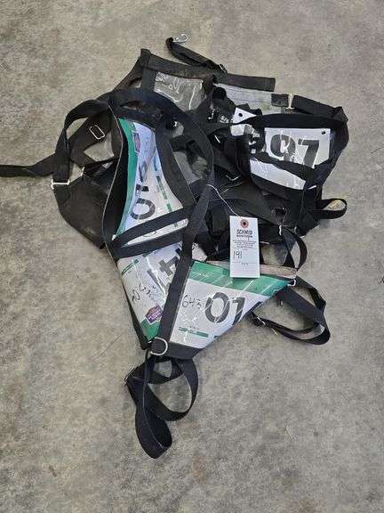 Show harness. - Schmid Auction