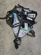 Show harness. - Schmid Auction