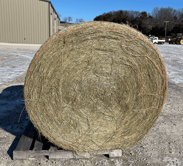 10- 4'x5' bales of fescue hay net wrapped in barn - Schneider Auctioneers LLC