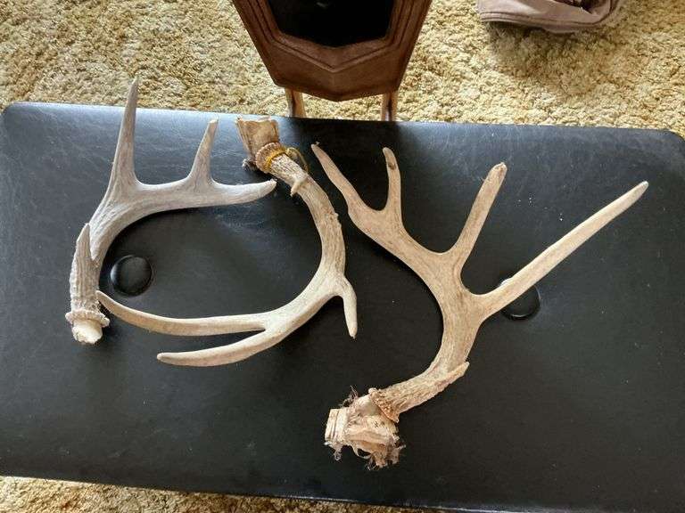 3 racks deer antlers - SCHULTIS & SON, INC.