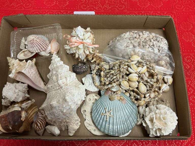 Beautiful shells - SCHULTIS & SON, INC.