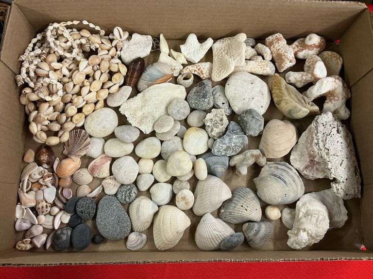 Decorative shells - SCHULTIS & SON, INC.