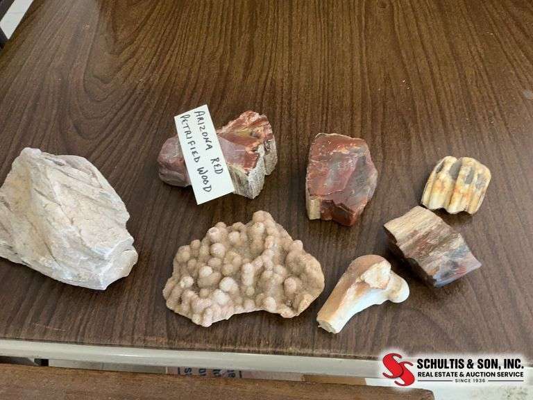 Arizona, red, petrified rocks, fossil rocks, and other unique ones ...