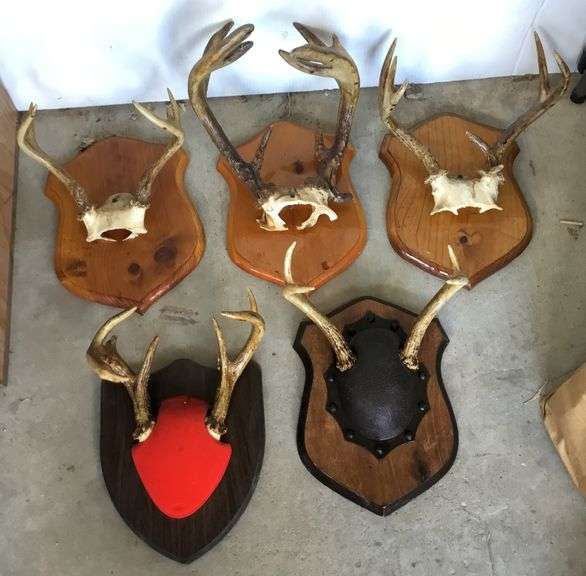 Assorted European Mounts - Sherwood Auctions