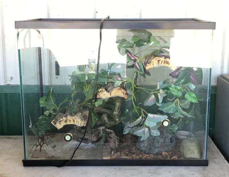 Lizard Tank - Sherwood Auctions