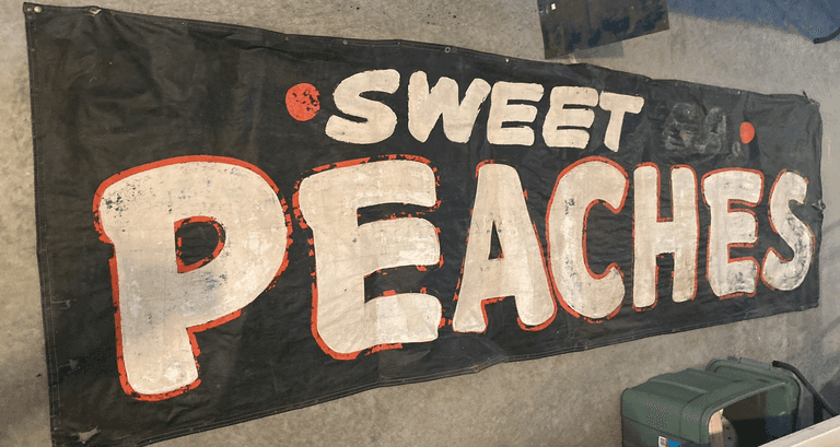 Sweet GA Peaches Banner - Sherwood Auctions