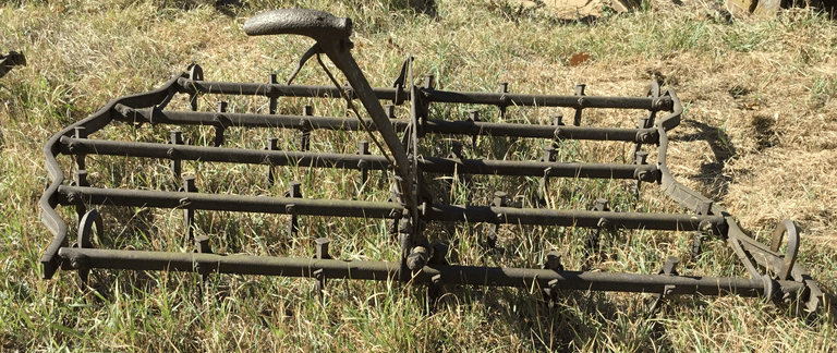 5' Spike Drag - Sherwood Auctions