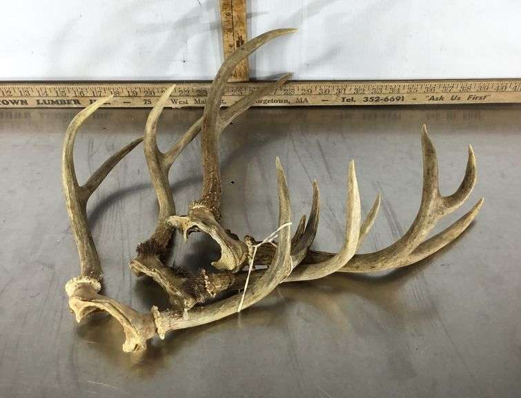 (3) Deer Racks - Sherwood Auctions