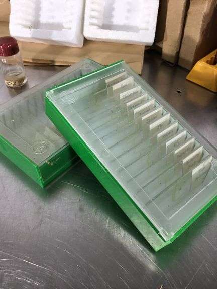 Vintage Crayons, Microscope Slides and More - Sherwood Auctions