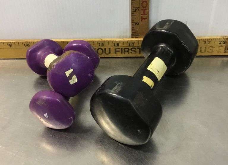 3 Hand Weights - Sherwood Auctions