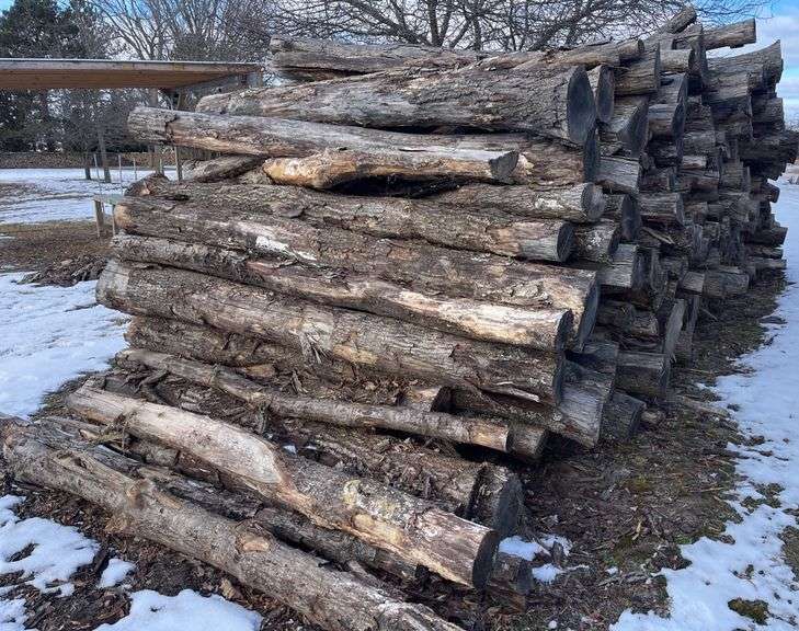 8’ to 10’ Dried Hard Wood Logs (Pile is approx. 25 feet long & 8 feet ...