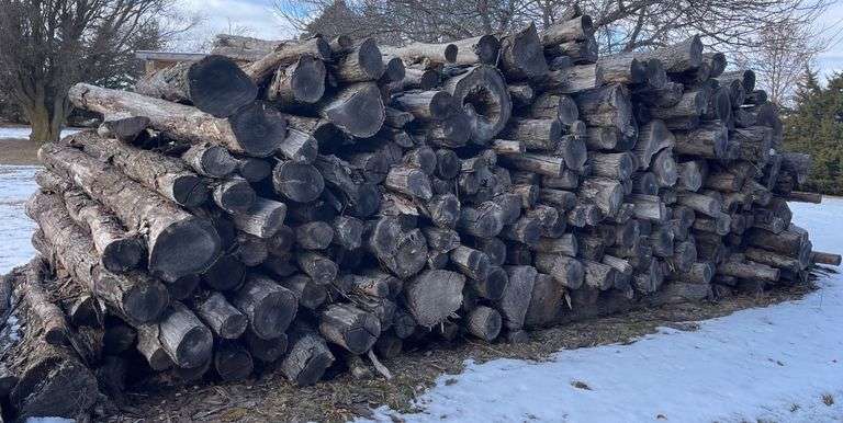 8’ to 10’ Dried Hard Wood Logs (Pile is approx. 25 feet long & 8 feet ...