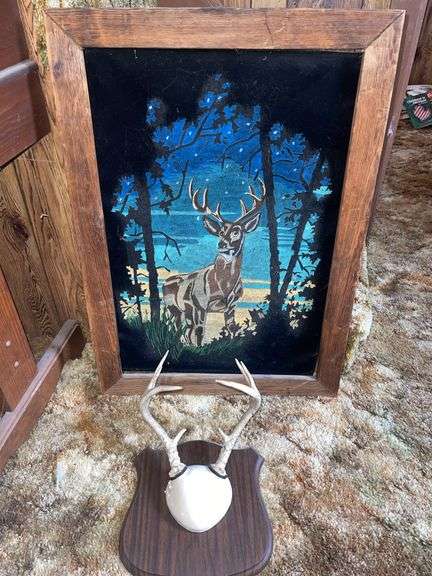 Velvet Framed Buck & Mounted Deer Rack - Sherwood Auctions