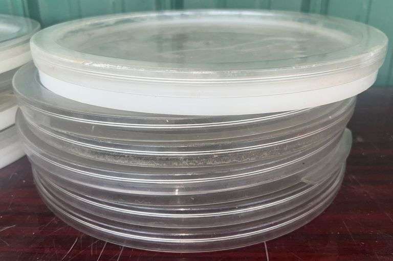 Round Cambro Brand Plastic Lids - Sherwood Auctions