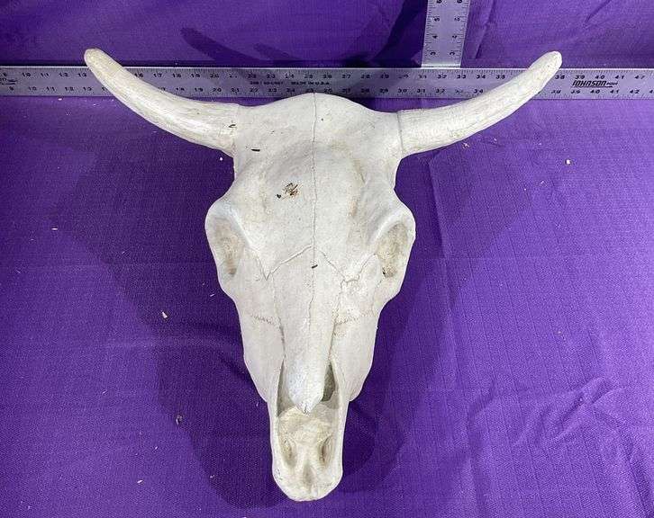 Plaster Cow Skull - Sherwood Auctions