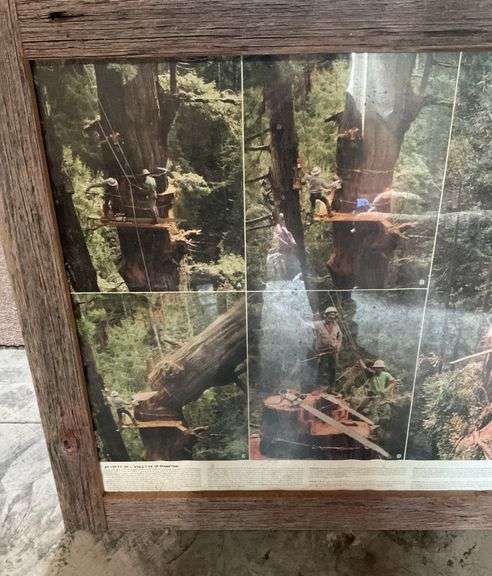 33”x44” Framed Logging Poster - Sherwood Auctions
