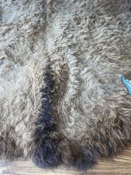 Bison "Buffalo" Hide Rug- Approx. 8’ Round - Sherwood Auctions