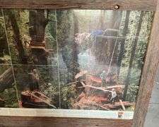33”x44” Framed Logging Poster - Sherwood Auctions