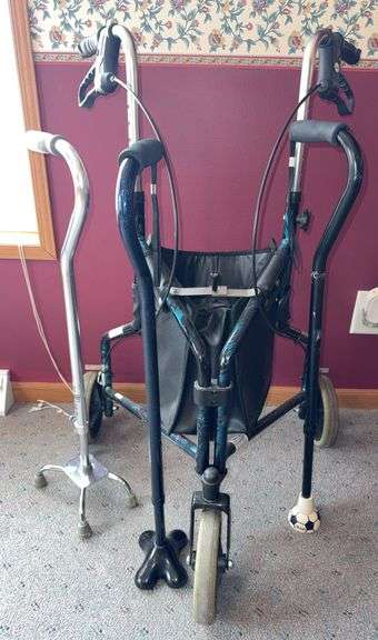 Walker & Three Different Styles of Canes - Sherwood Auctions
