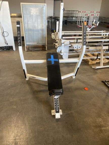 Cybex Commercial Incline Bench - Sierra Auction Management Inc