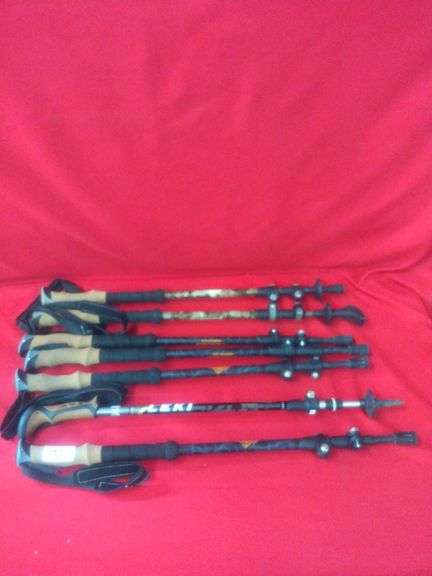 Assorted Hiking Sticks - Sierra Auction Management Inc