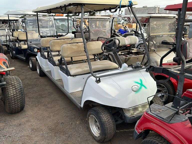 EVolution Golf Cart - Sierra Auction Management Inc