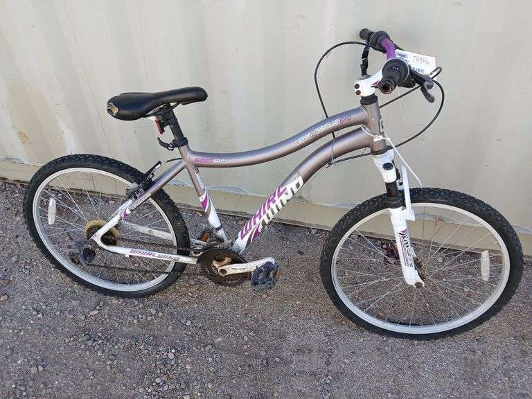 Genesis Whirlwind Bike - Sierra Auction Management Inc