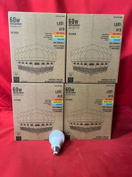 (4) Pack of ECOSMART 60-Watt Equivalent A19 Dimmable LED Light Bulbs ...