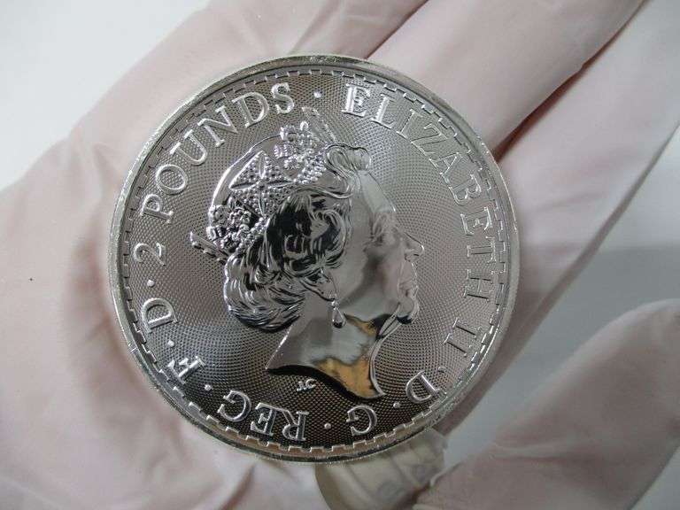1oz 999 Fine Silver Coin 2021 - Sierra Auction Management Inc
