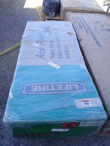 Lifetime Ace Flyer Teeter-Totter - Sierra Auction Management Inc