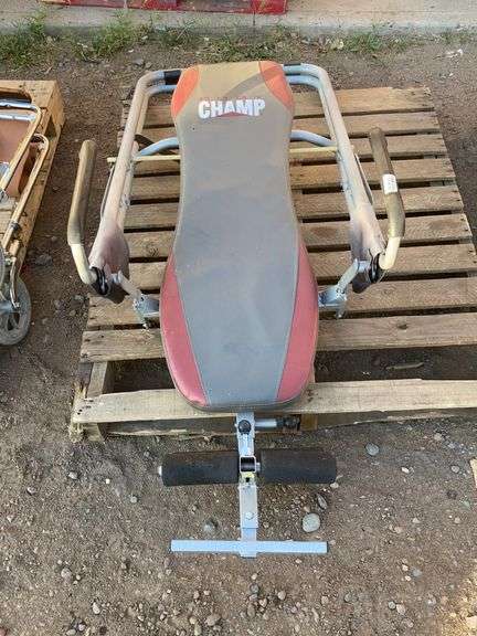Body Champ Exercise machine. - Sierra Auction Management Inc