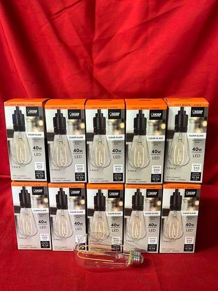 (10pcs) BRAND NEW FEIT ELECTRIC 40-Watt Equivalent ST19 Dimmable M Shape Filament Clear Glass ...
