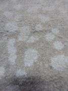 Hudson Living Tahara Area Rug 7'x10' - Sierra Auction Management Inc
