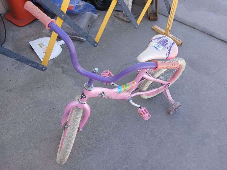 Kids Disney Princess Bike with Training Wheels - Sierra Auction ...