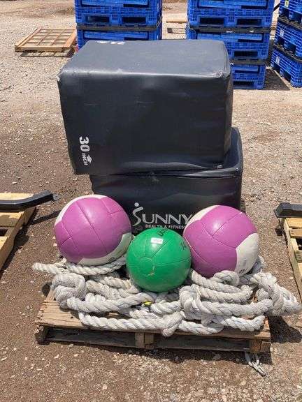 Two vertical jump mats, three exercise balls and training ropes ...