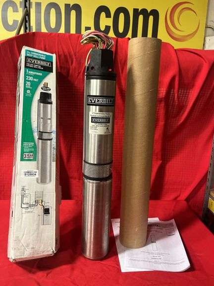 Everbilt 1 HP Submersible 3-Wire Motor 20-GPM Deep Well Potable Water Pump - Sierra Auction ...