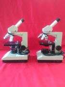 (2PC) Fisher Scientific Micromaster Microscope Model: E LR 33310 - Sierra Auction Management Inc