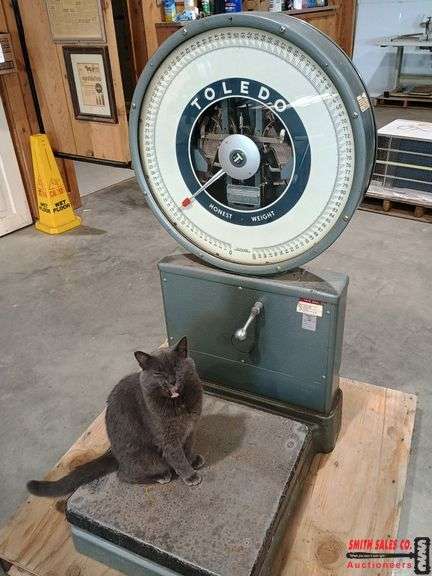 Toledo Honest-Weight 100 Pound scale - Smith Sales Co. Auctioneers