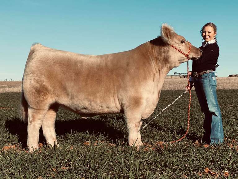 Hailey Moore Roby FFA - StockShowAuctions.com