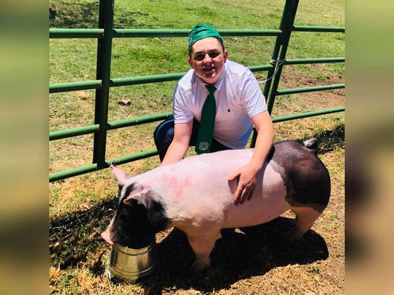 Colton Neal Lancers 4-H - StockShowAuctions.com