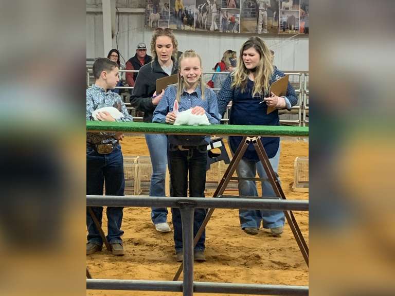 Kaitlyn Kolb Dublin FFA - StockShowAuctions.com